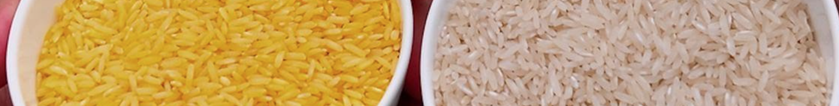 The Golden Rice Project